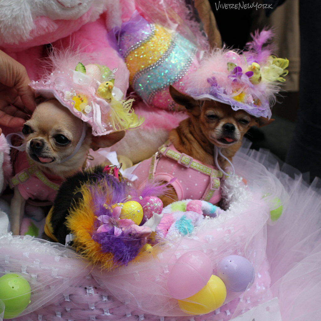 Easter Bonnet Parade: the best way to celebrate Easter in NYC ...